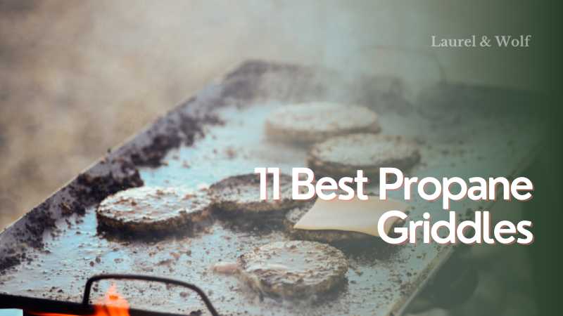 11 Best Propane Griddles (2023 Reviews & Buying Guide)