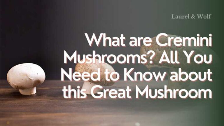 What are Cremini Mushrooms? All You Need to Know about this Great Mushroom