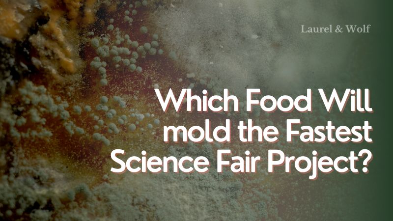 Which Food Will Mold the Fastest Science Fair Project?