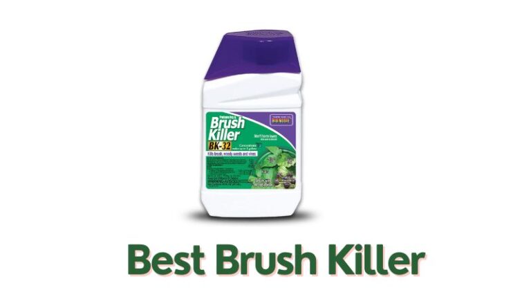 Best Brush Killer: Top 10 Products for Effective Brush Control in 2025
