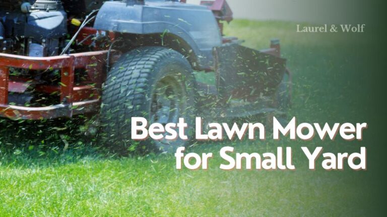 5 Best Lawn Mower for Small Yard: Top Picks for Easy Maintenance