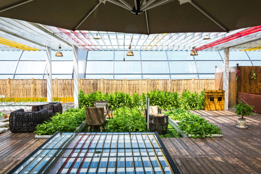8 Tips for Integrating Your Deck with Your Garden