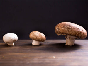 What are Cremini Mushrooms? All You Need to Know about this Great Mushroom