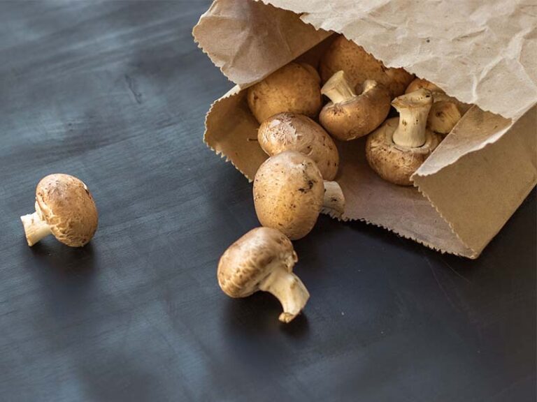 What are Cremini Mushrooms? All You Need to Know about this Great Mushroom